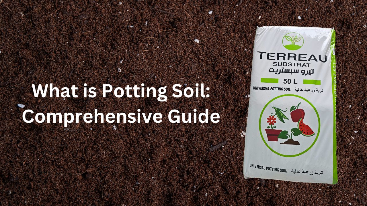 What is Potting Soil Comprehensive Guide - Megacorp Agro